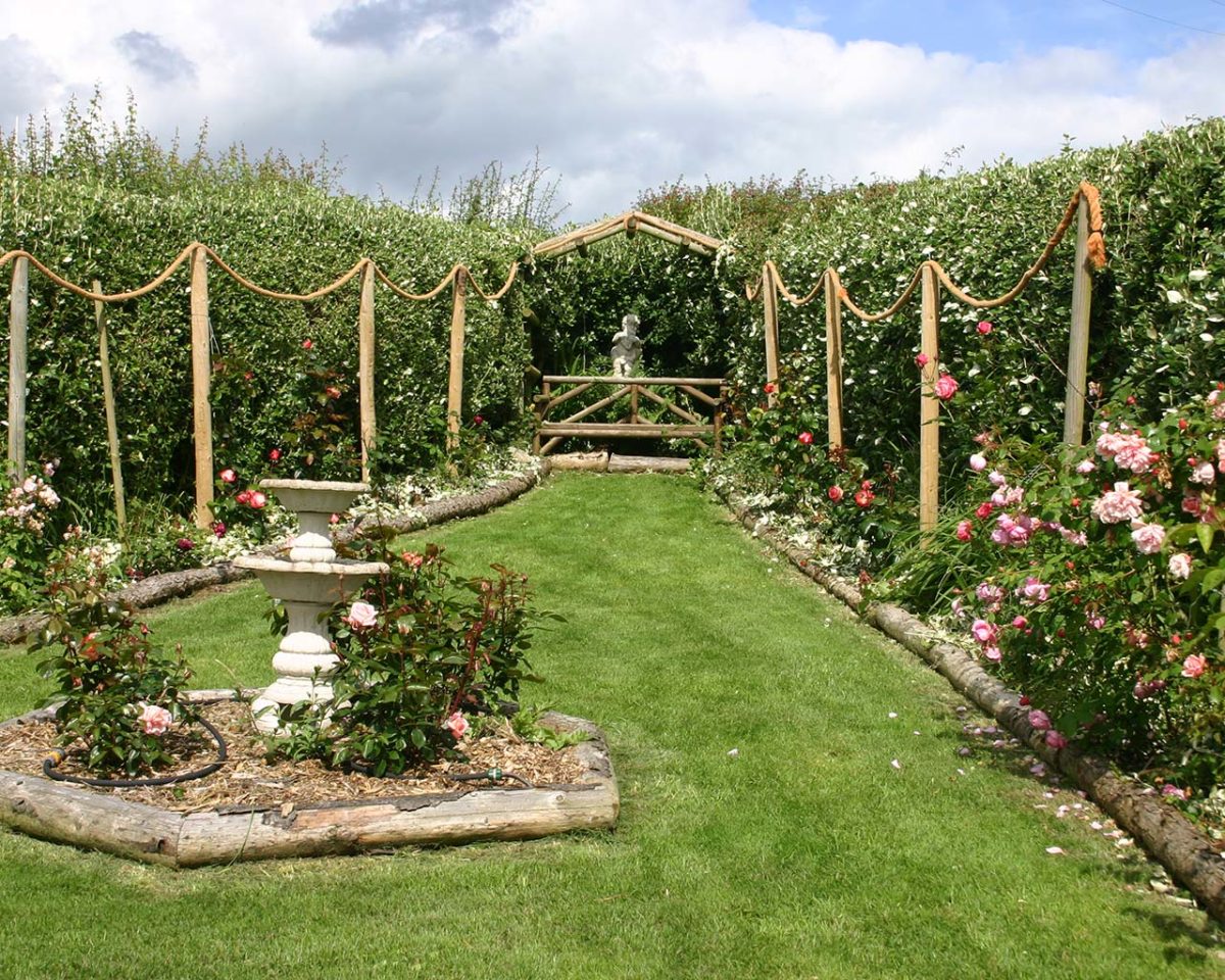 October Lawn Care Guide - The Irish Garden